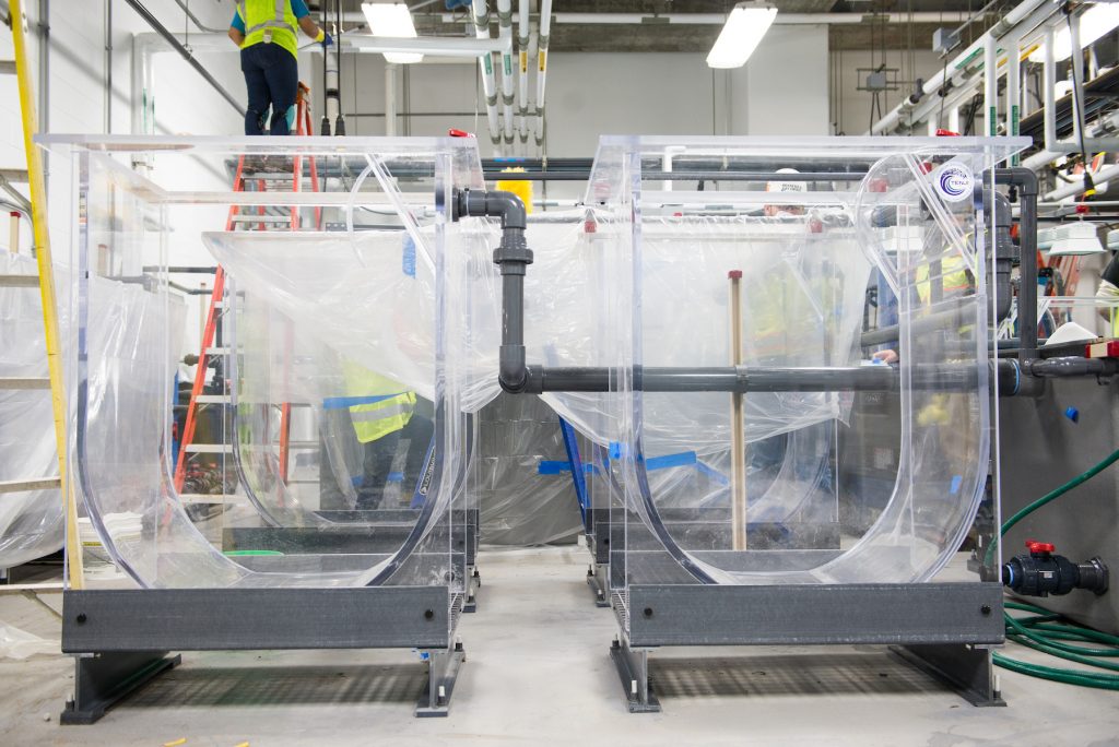 Tanks, Stands, Platforms - Tenji Aquarium Design + Build